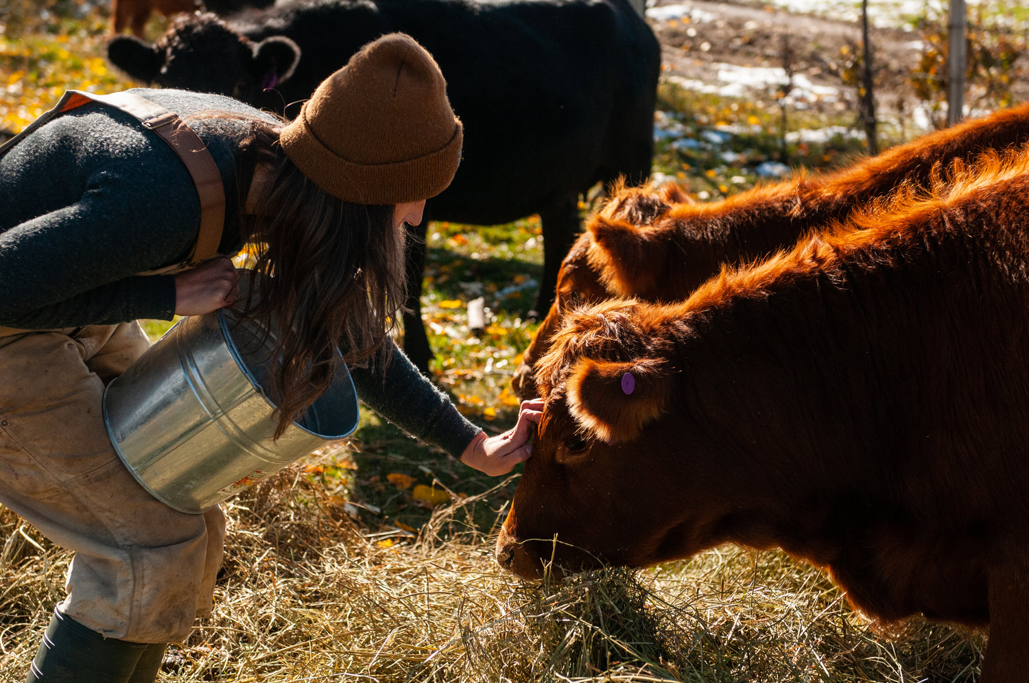 Women in Business Series: Northern Roots Family Farm – Autumn Jade Studio